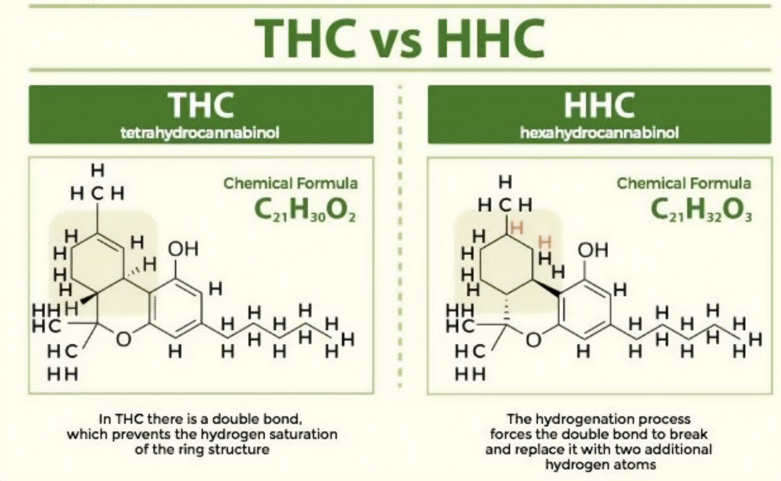 Mystery of HHC: A Closer Look at Cannabis’s Lesser-Known Compound – On ...