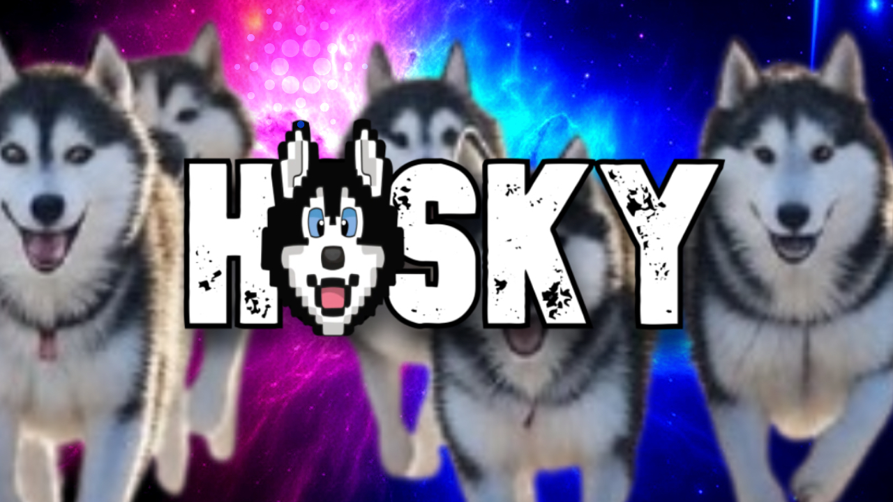 HOSKY – The Meme Coin Changing the way we look at Meme Coins – On The Node