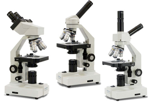 The Best Affordable Microscopes for Microbiology Enthusiasts – On The Node