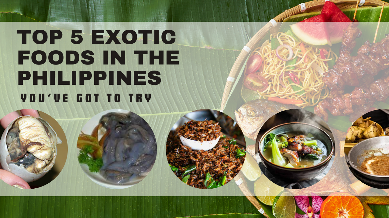 Top 5 Exotic Foods in the Philippines : You’ve Got to Try – On The Node